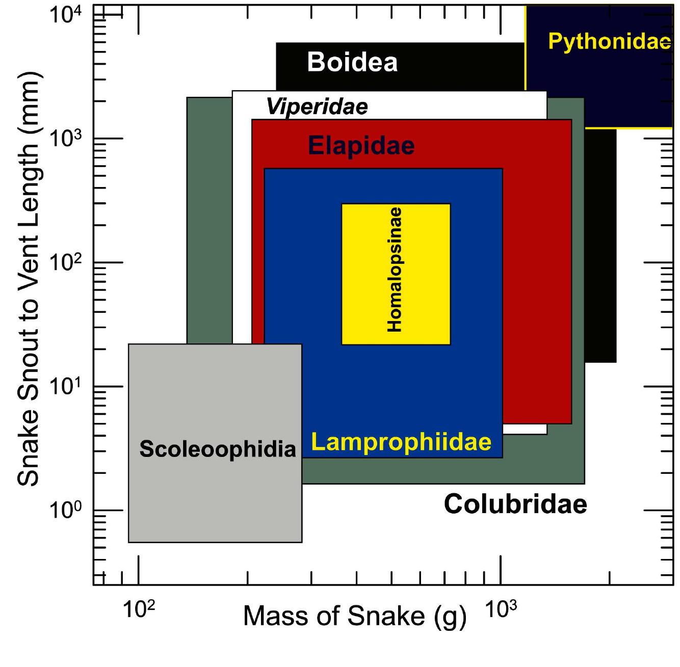 Figure 6 - The Structure of Ventral Scale Textures in Snakes