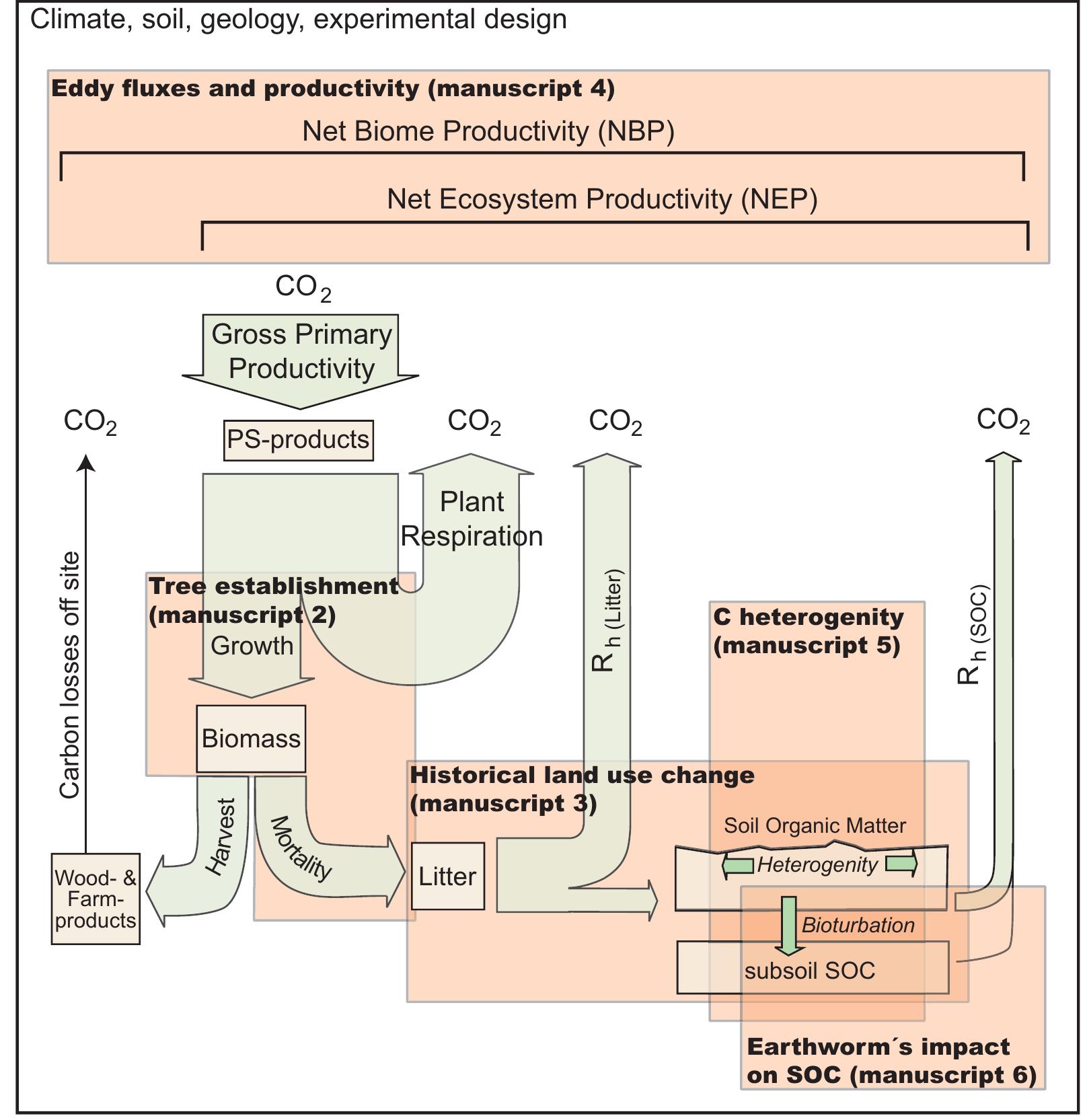 Biotree method (manuscript 1) figure 1: schematic