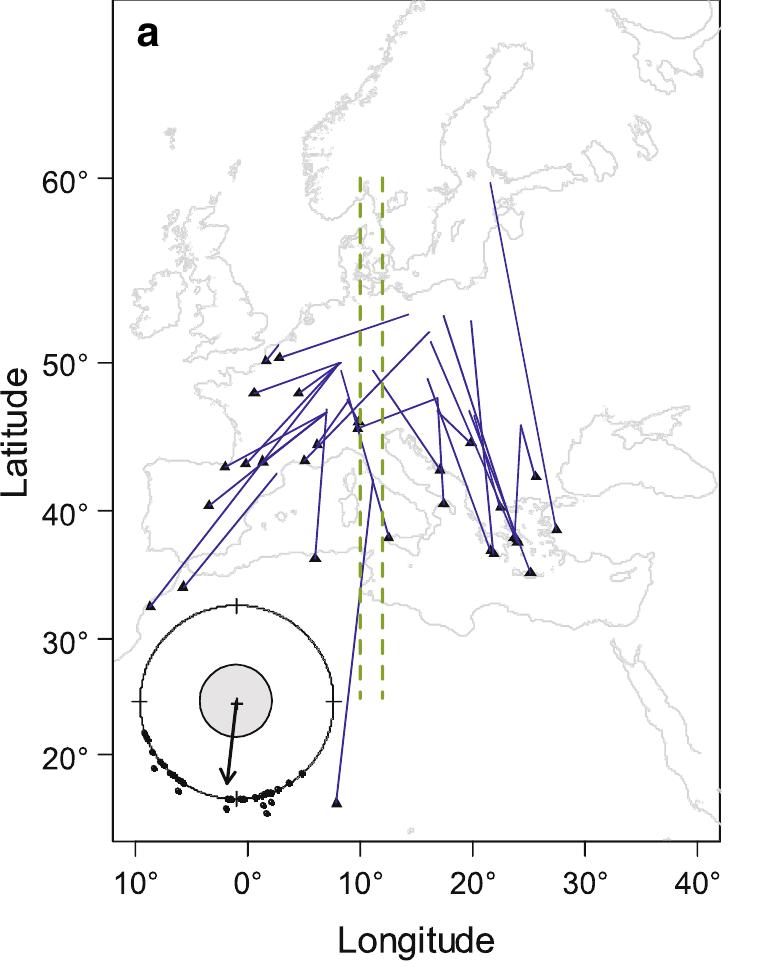 Figure 2 - Migration patterns of Hoopoe Upupa epops and