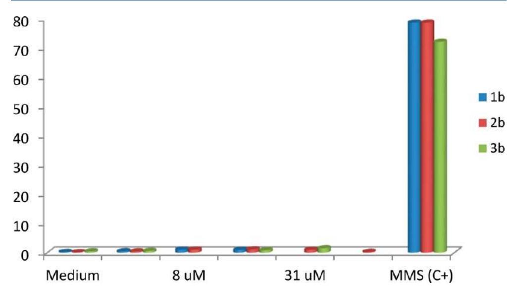 Microscopy image (20x) of cells in a dapi-staining solution