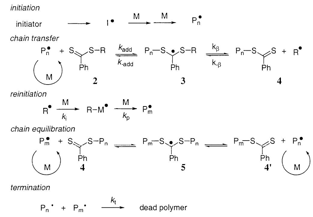 Mechanism of raft polymerization