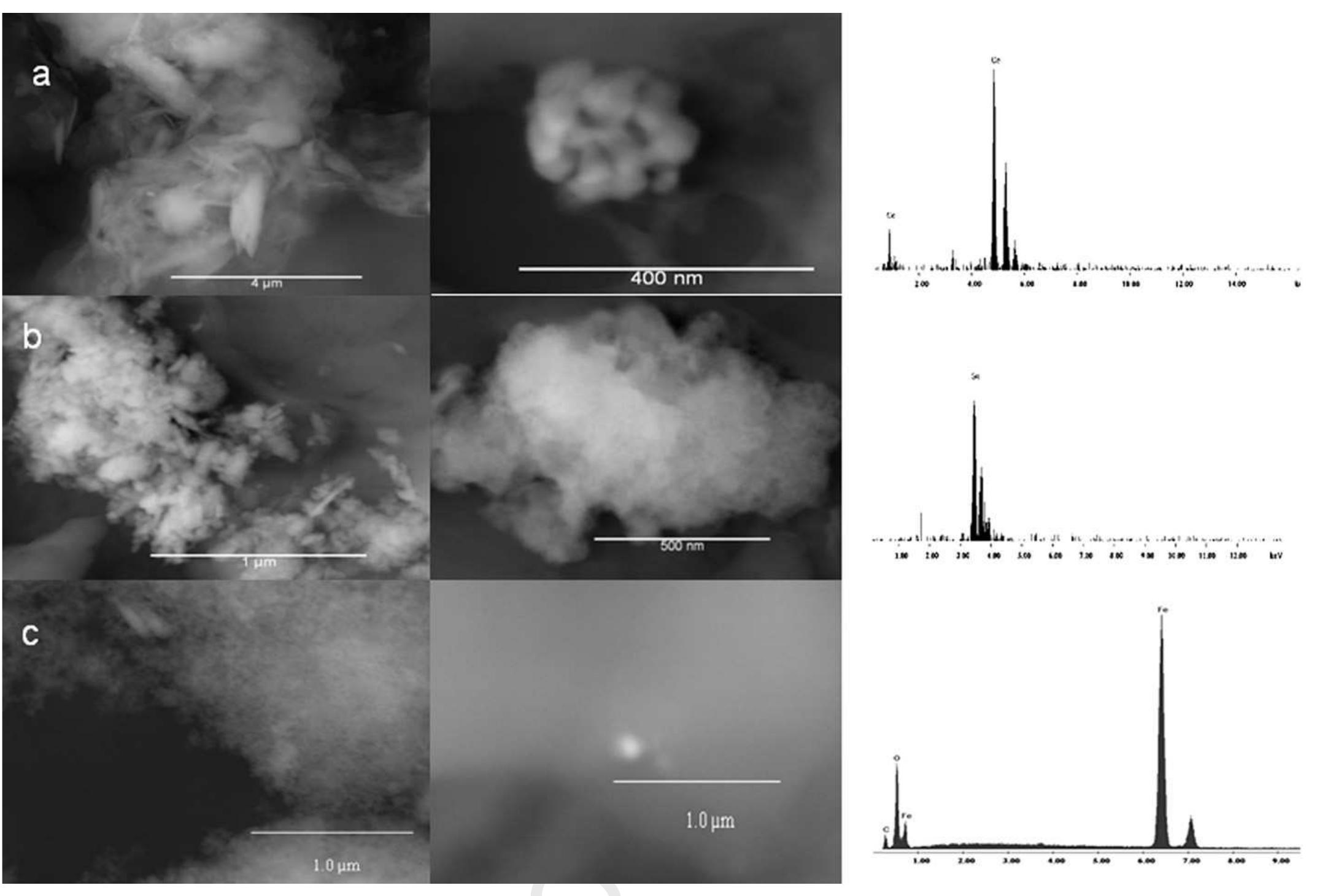 Aggregates of metal oxides-nps in clay fractions of soil.