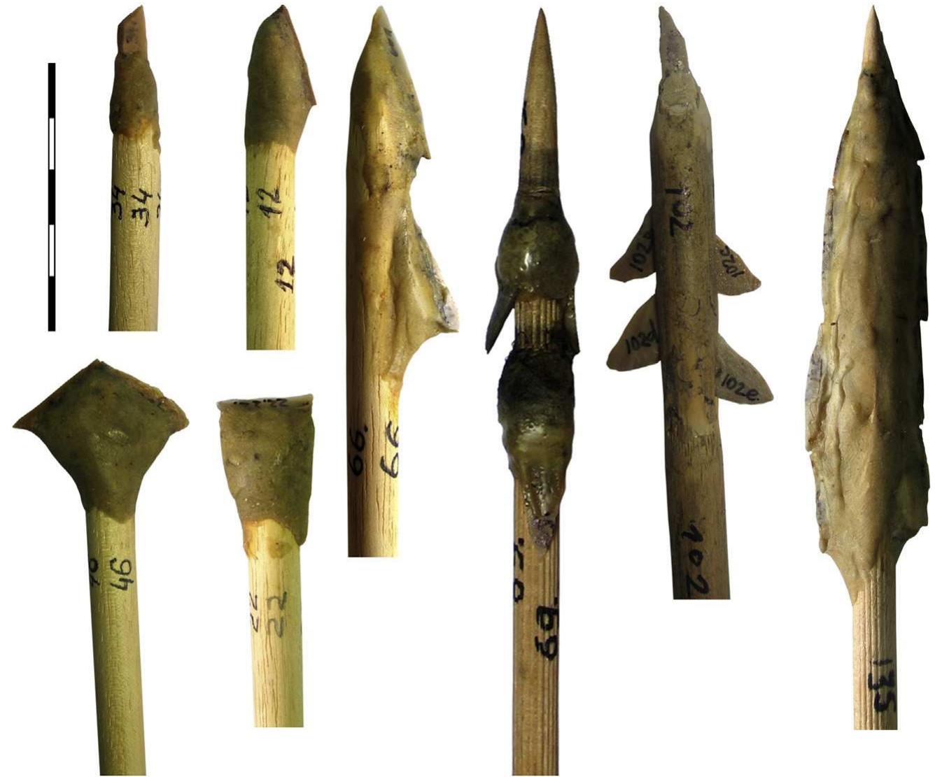 (PDF) Bone projectile injuries and Epipaleolithic hunting: New ...