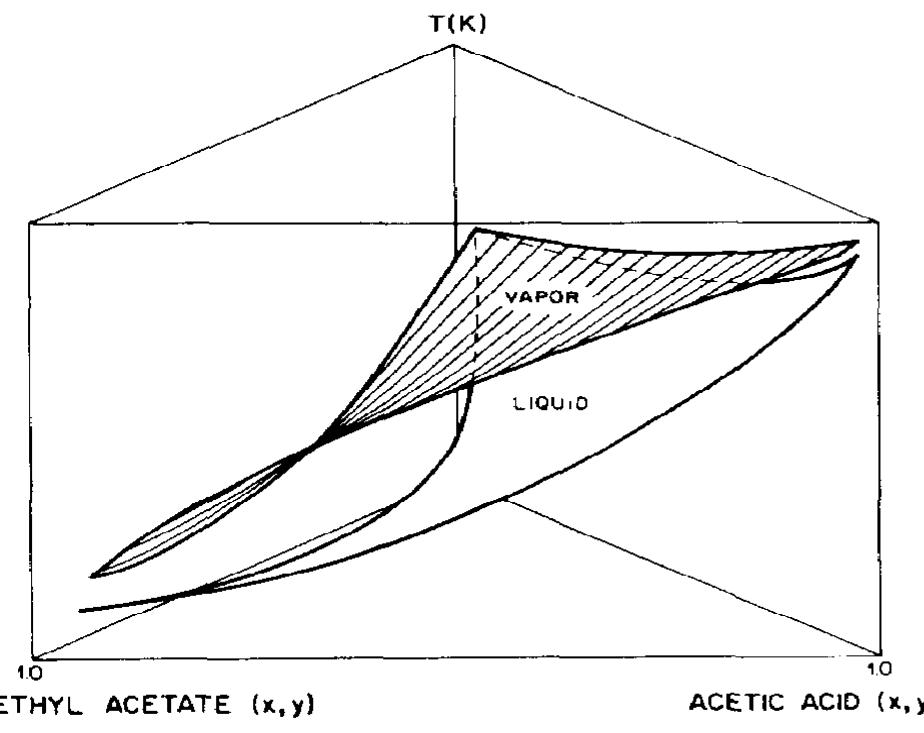 Reactive-phase diagram for the system acetic