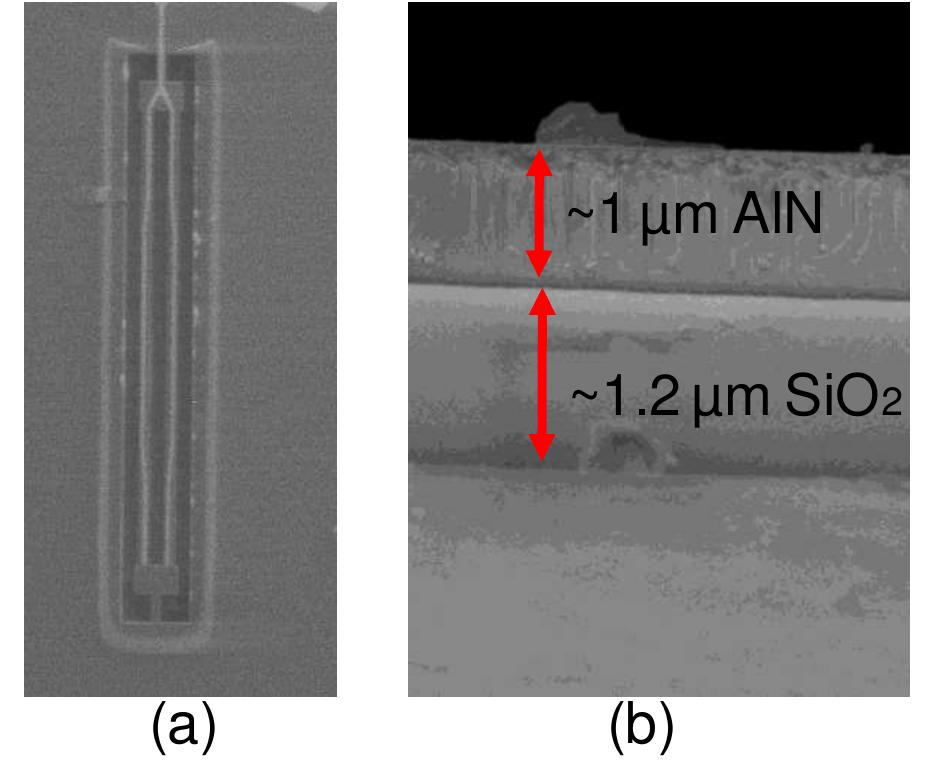 (a) sem of a single port detf, (b) sem of the cross section