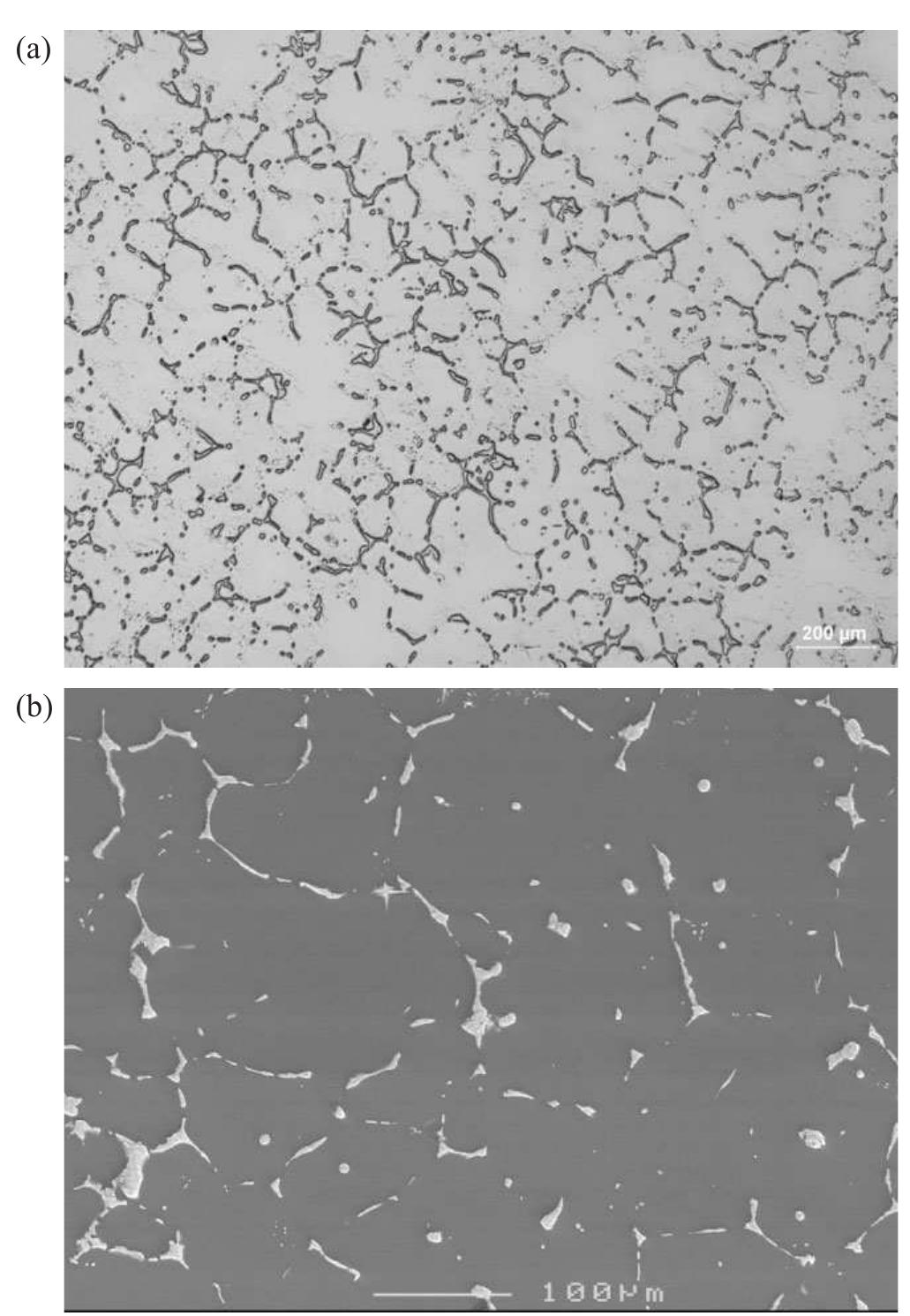 Microstructure of as-cast ze41. (a) optical micrograph. (b)