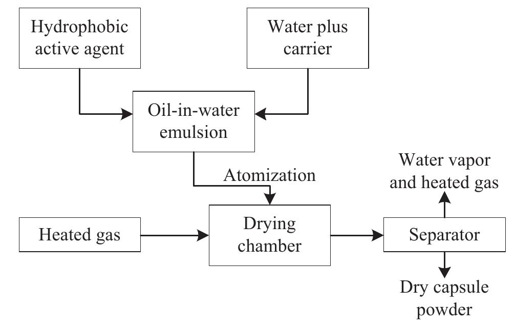 Flow diagram of a typical spray drying encapsulation process