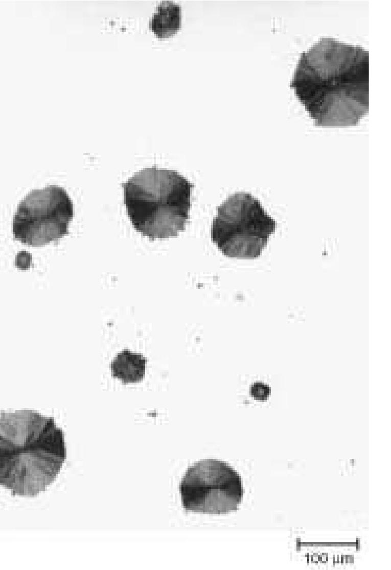 (PDF) Metallography and Microstructures of Cast Iron