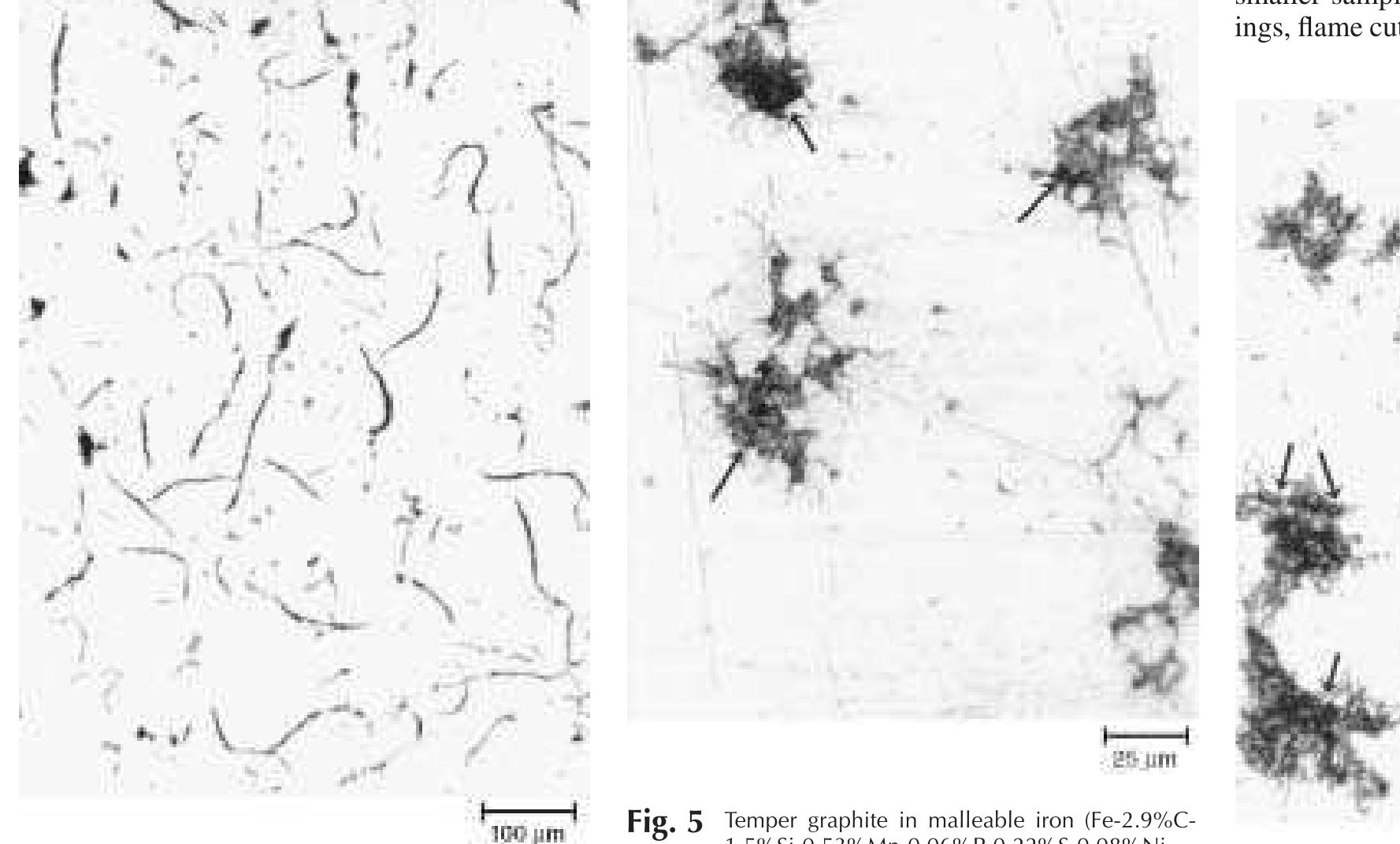 (PDF) Metallography and Microstructures of Cast Iron