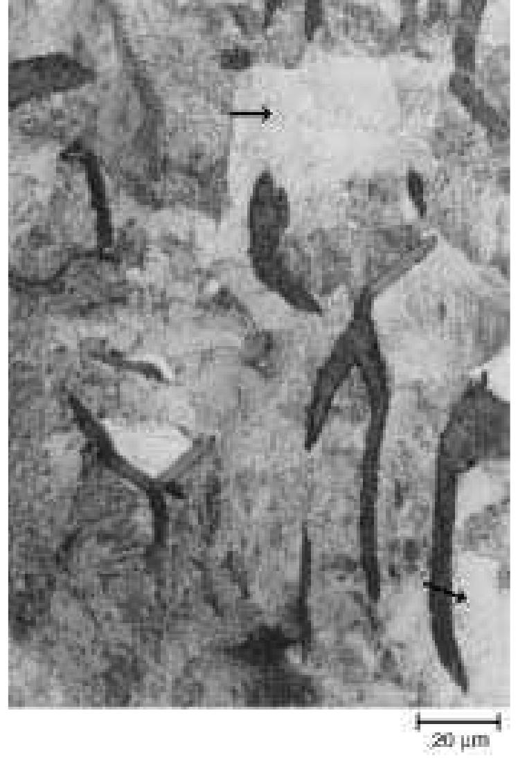 (PDF) Metallography and Microstructures of Cast Iron