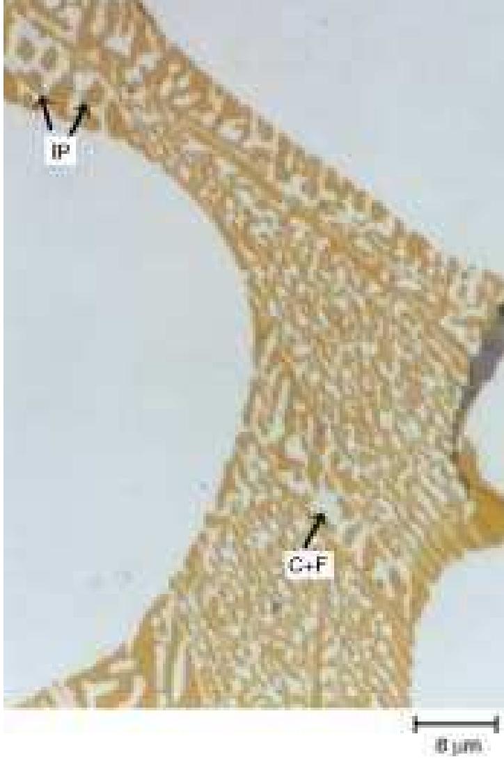 (PDF) Metallography and Microstructures of Cast Iron