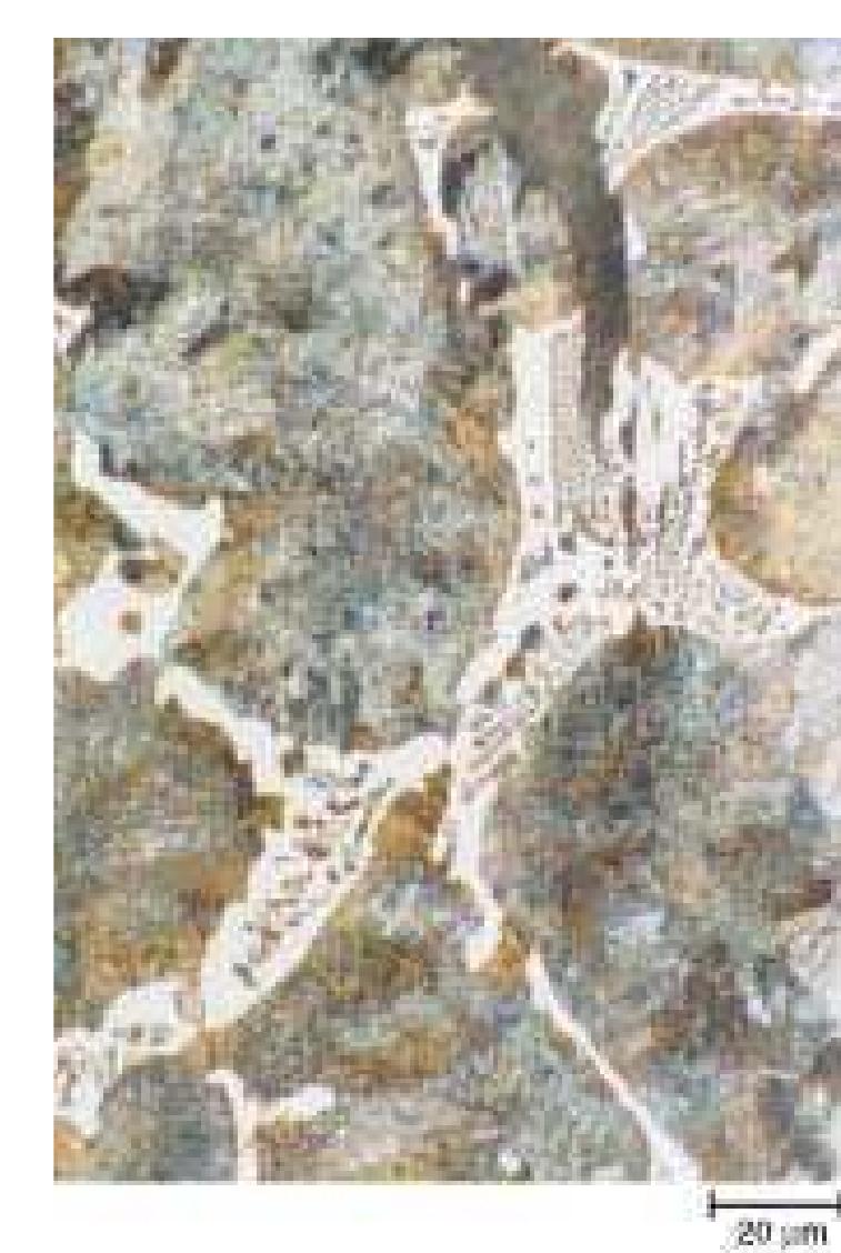 Figure 31 - Metallography and Microstructures of Cast Iron