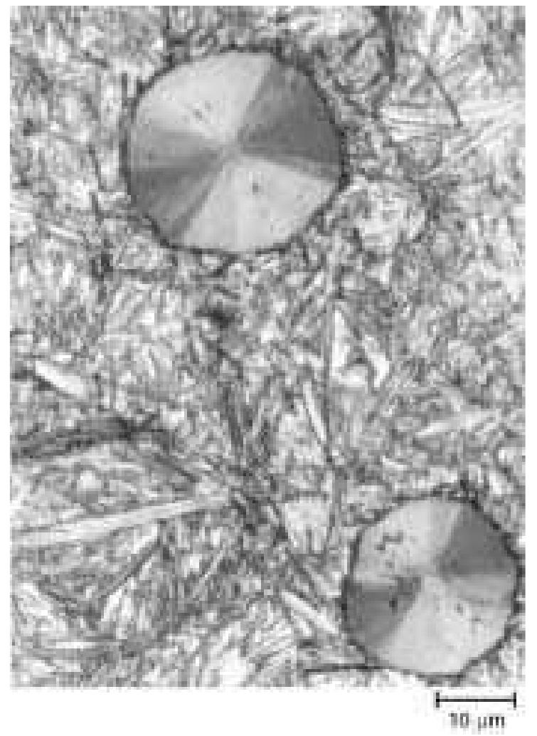 (PDF) Metallography and Microstructures of Cast Iron