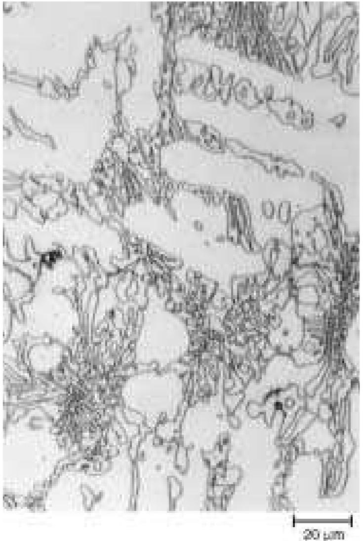 (PDF) Metallography and Microstructures of Cast Iron