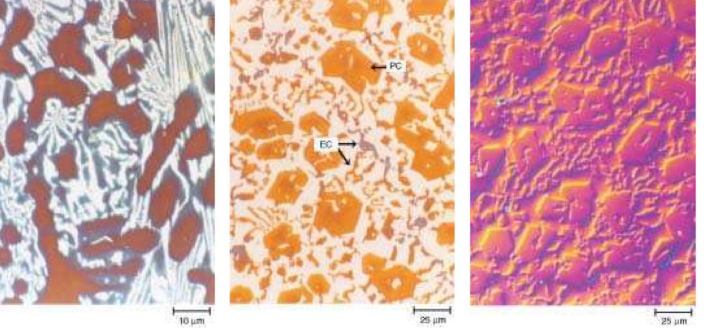 (PDF) Metallography and Microstructures of Cast Iron