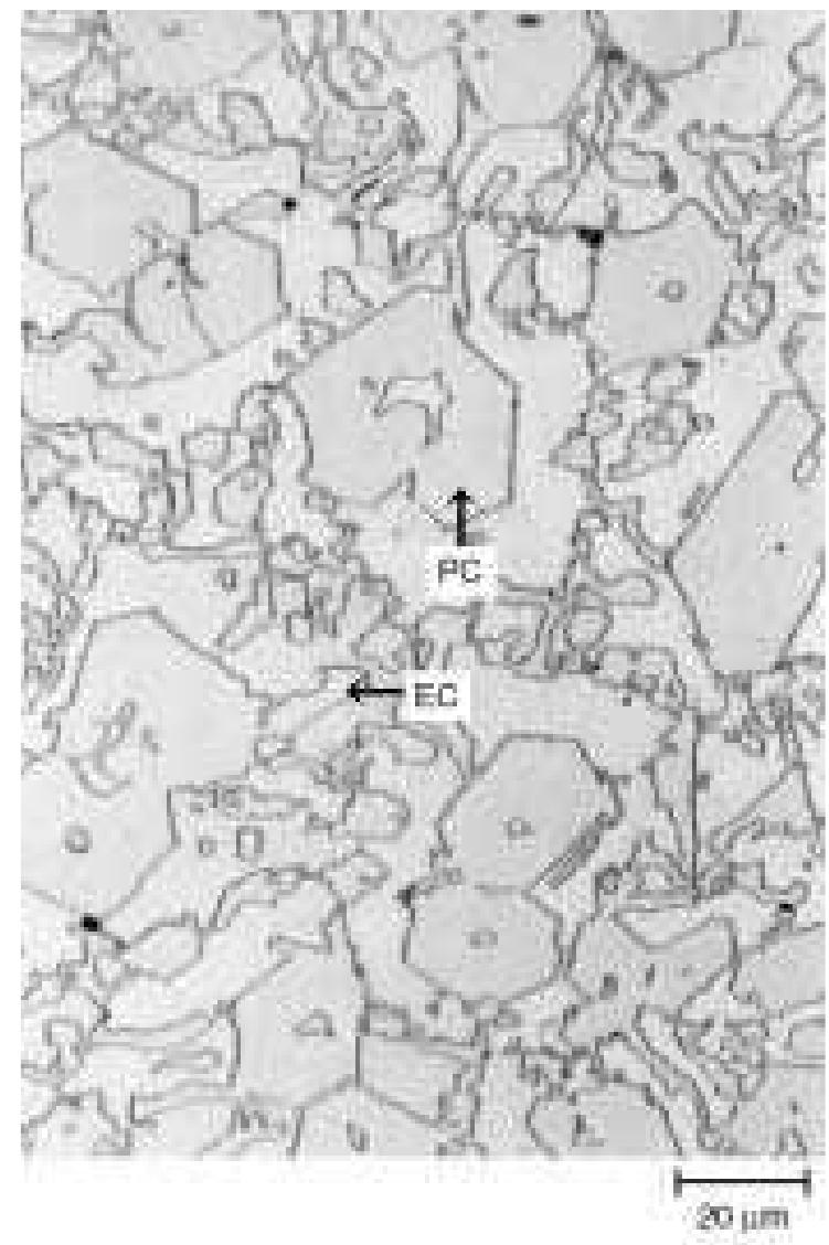 (PDF) Metallography and Microstructures of Cast Iron