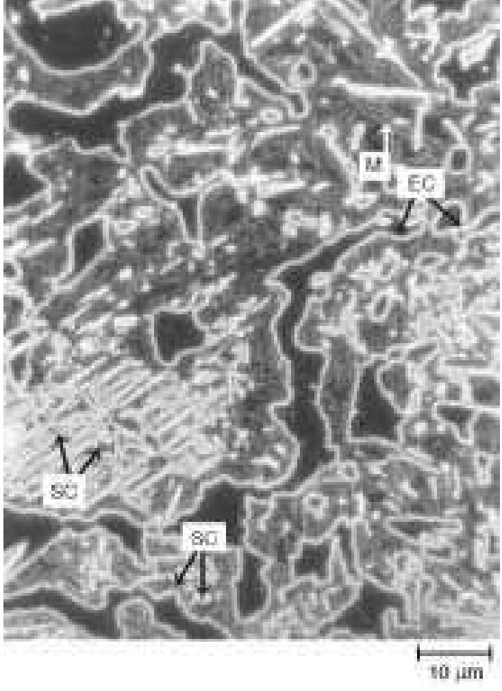 (PDF) Metallography and Microstructures of Cast Iron