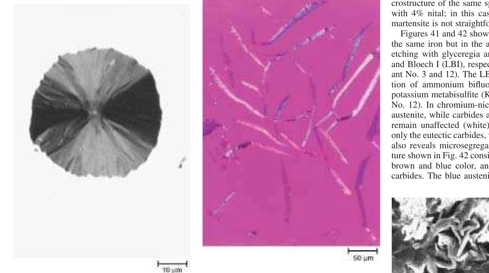 (PDF) Metallography and Microstructures of Cast Iron