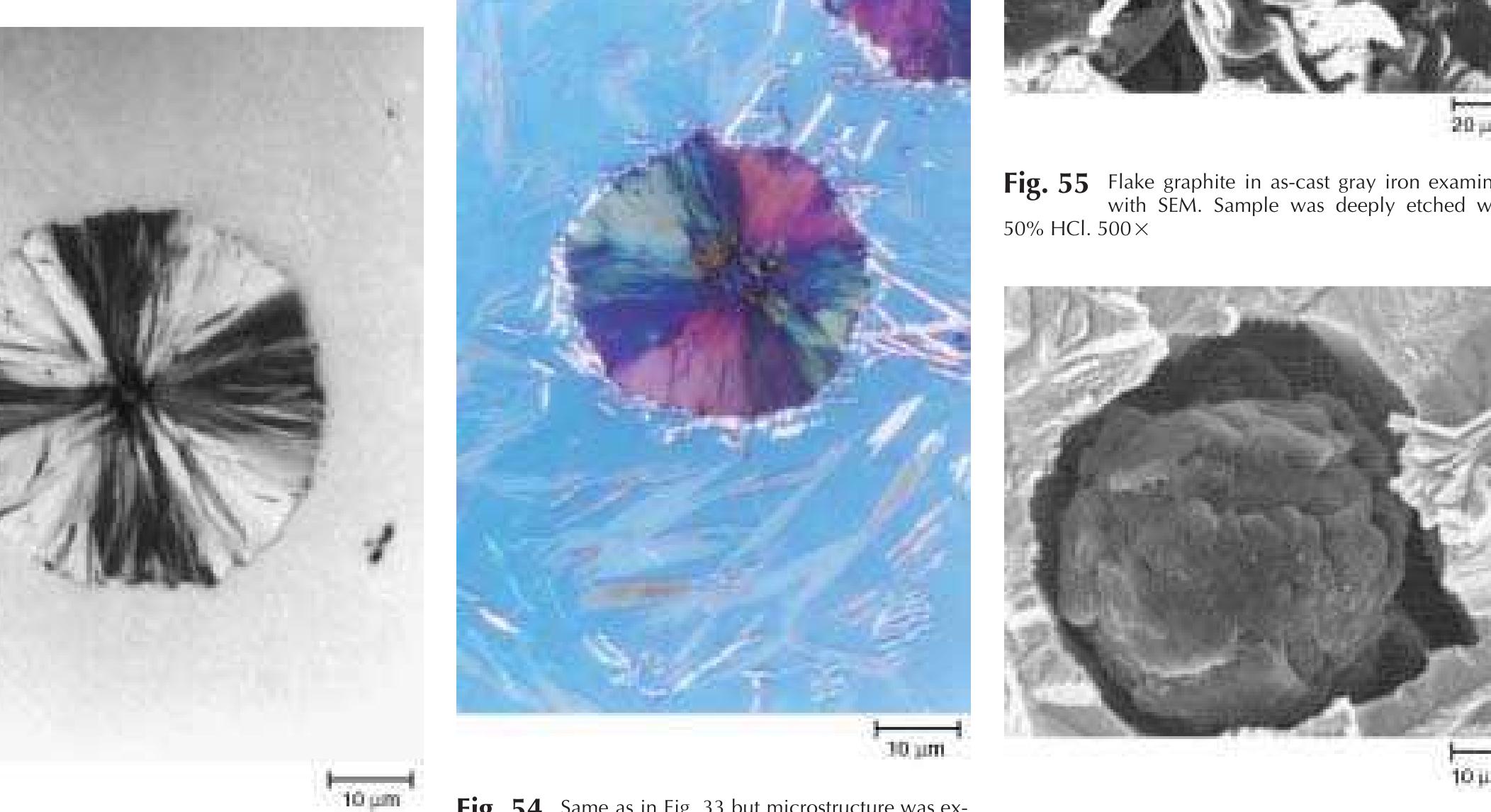 (PDF) Metallography and Microstructures of Cast Iron