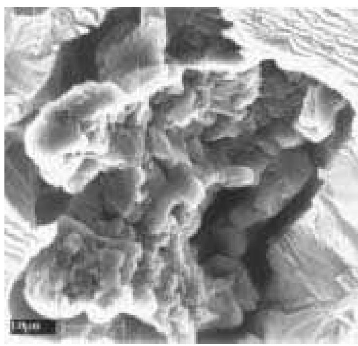 (PDF) Metallography and Microstructures of Cast Iron