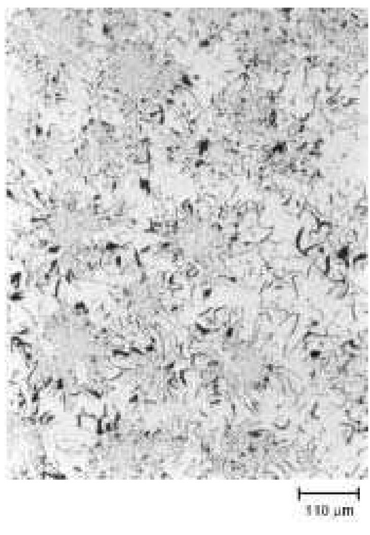 (PDF) Metallography and Microstructures of Cast Iron