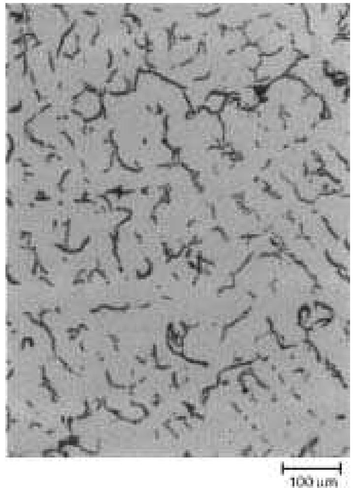 (PDF) Metallography and Microstructures of Cast Iron