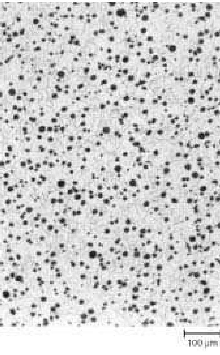 (PDF) Metallography and Microstructures of Cast Iron