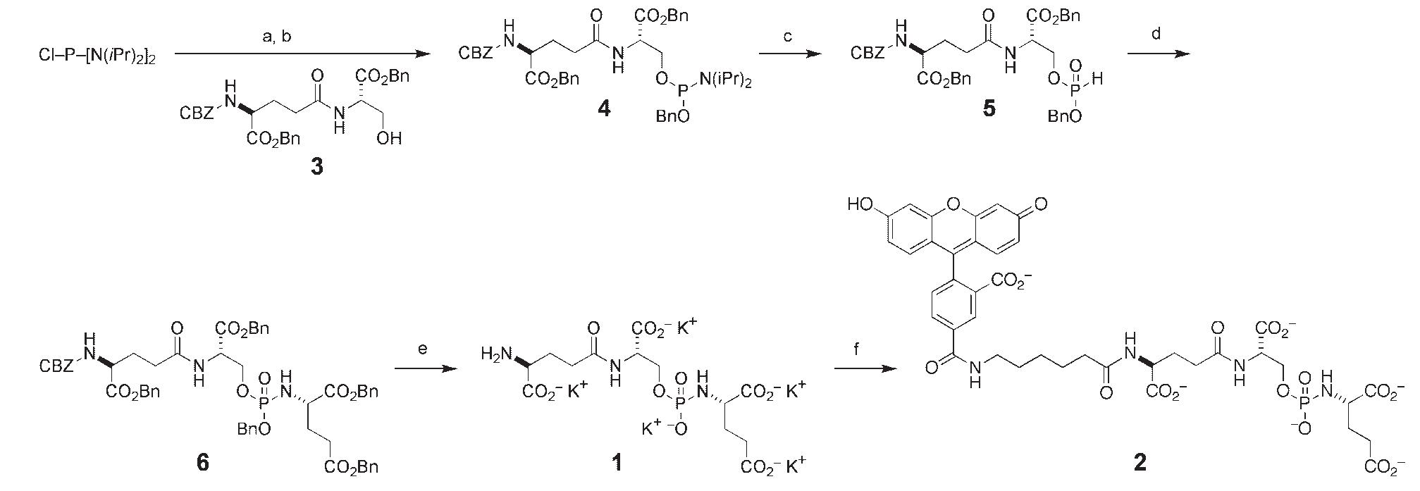 I. synthesis of fluorescent inhibitor 2. reagents and