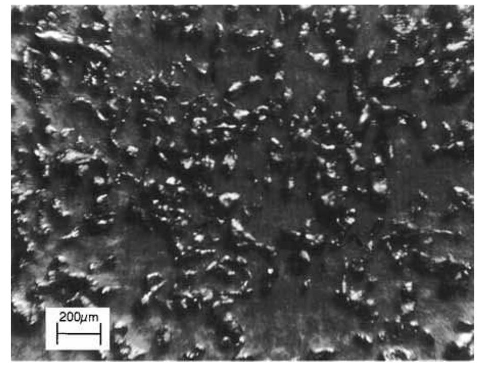Microscopic photograph of the aluminum particles.