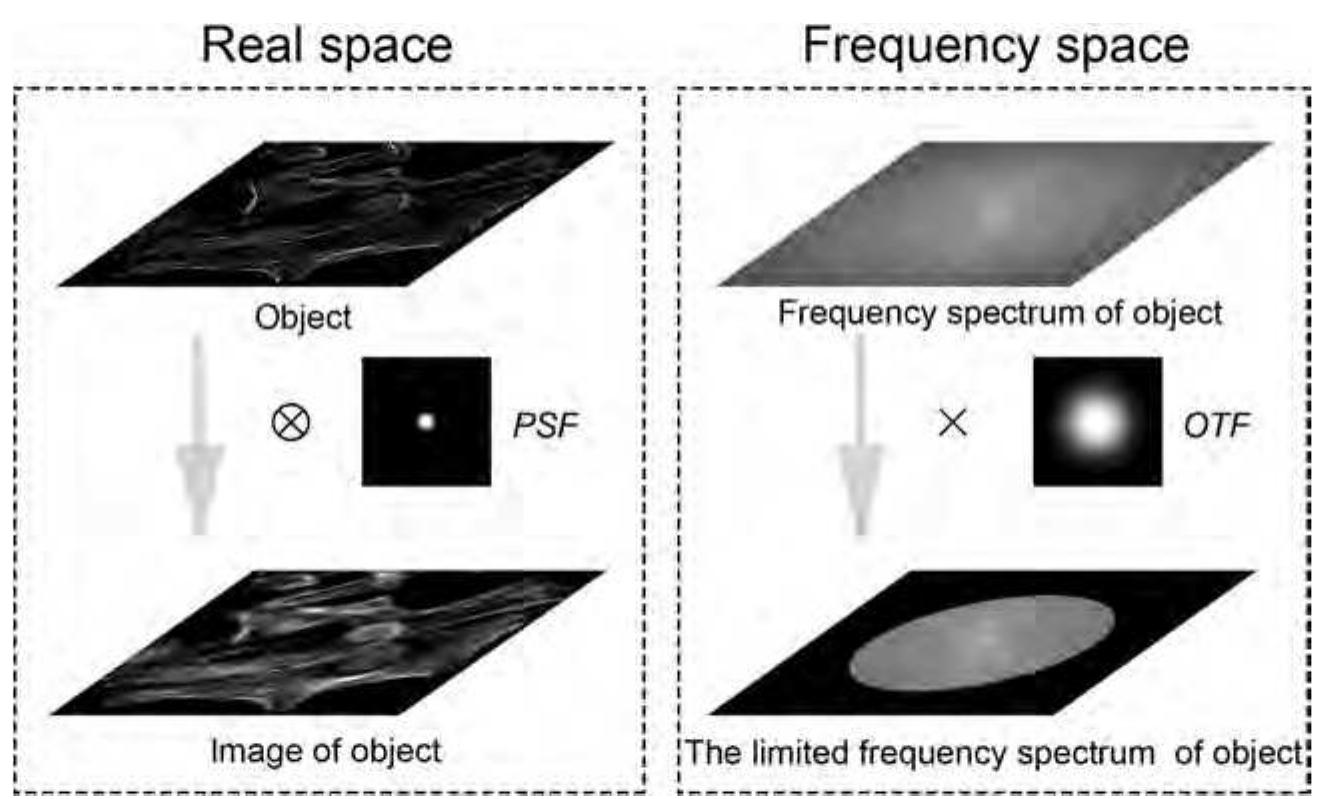 Schematic of image formation in real space and in spatial