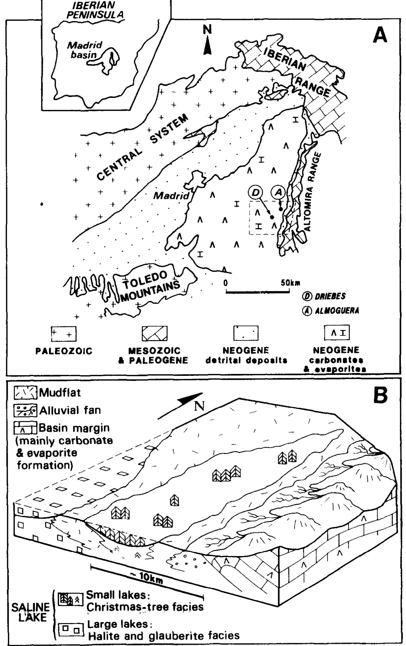 Figure 1 - from Unusual twinning features in large primary