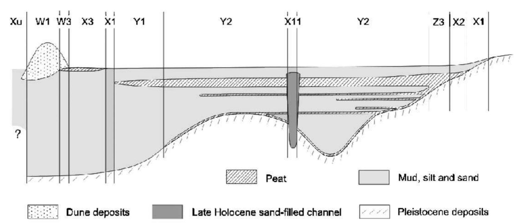 Schematic cross-section adapted for the belgian coastal