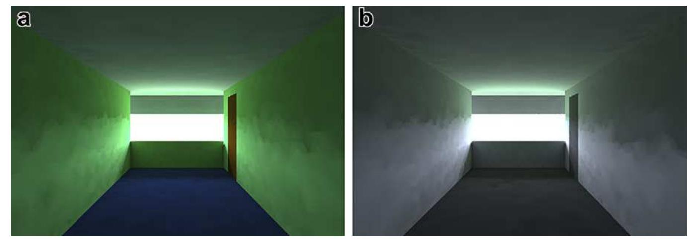 Computer modelling: (a) with colour and (b) with grey scale.