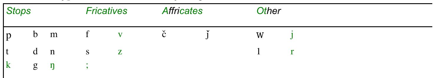 «3 typical consonant inventory at age four still to be