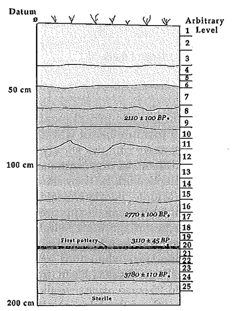 Site 093, unit 3, profile north face early formative (circa