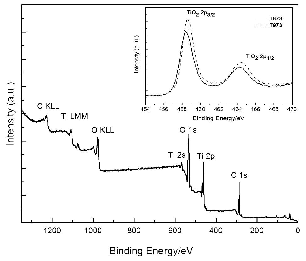 Esca survey spectrum of t673 (inset: xps spectra of ti 2p of