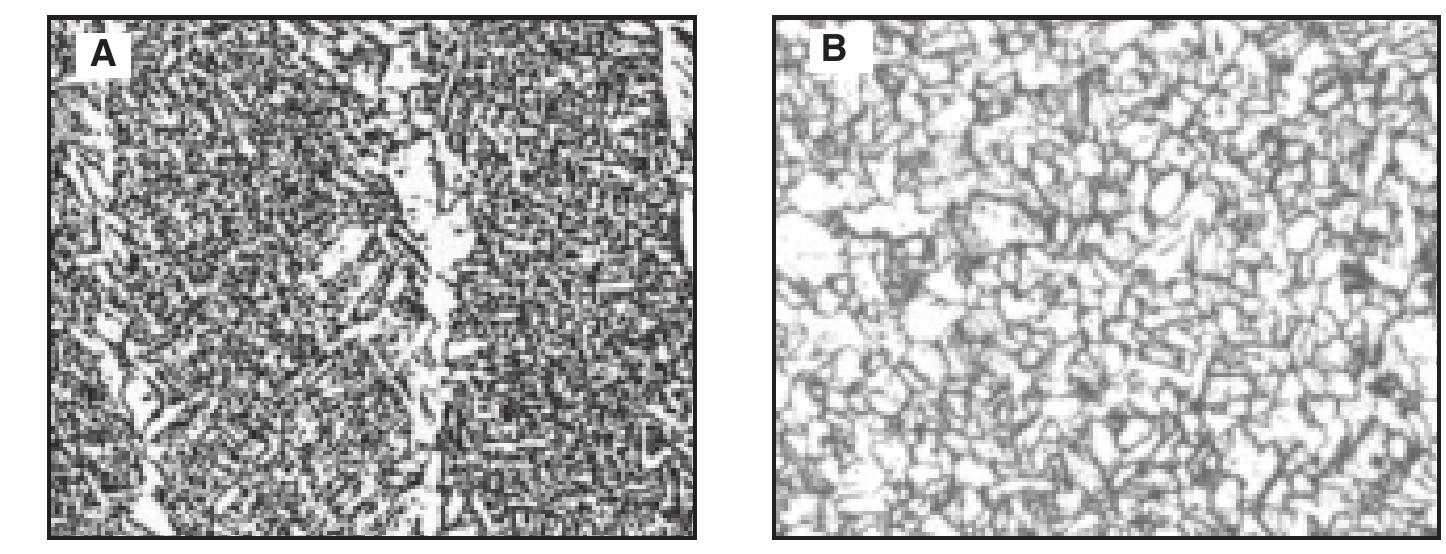 microstructures of er70s-3..a — single-pass weld bead; b —