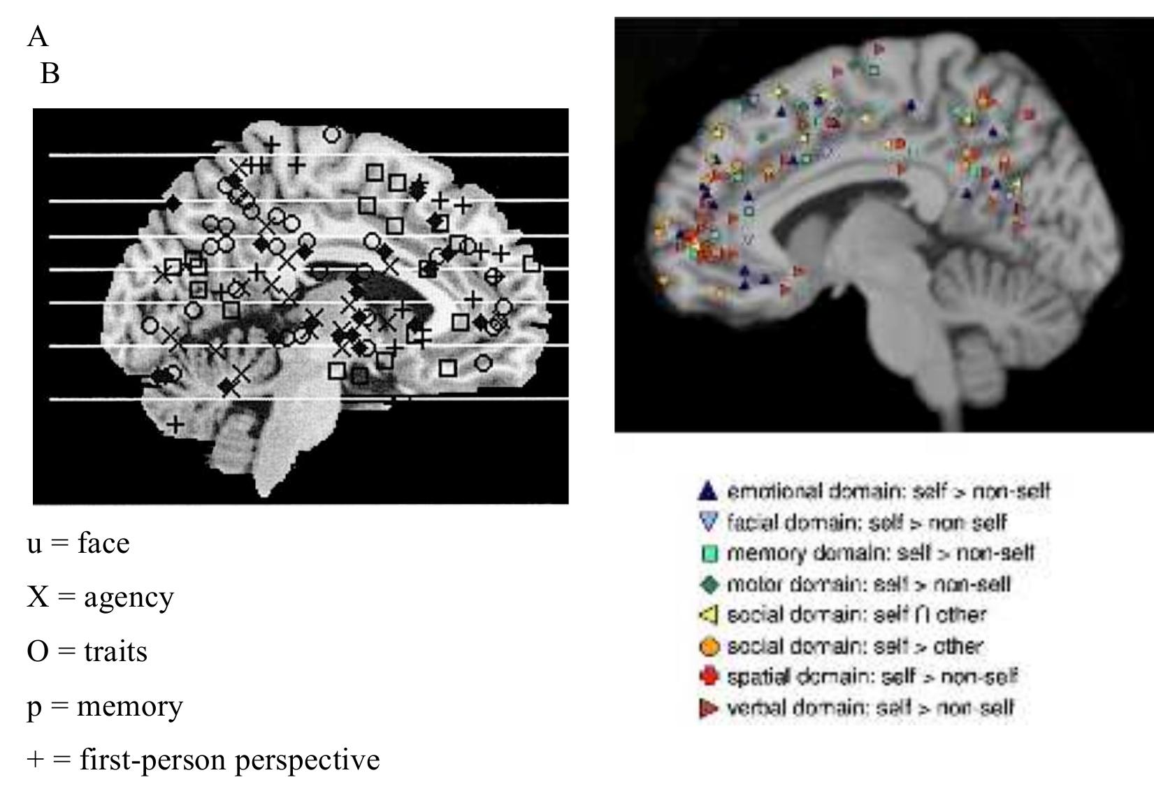 Figure 1 - from Vogeley, K. and Gallagher, S. 2011. The self