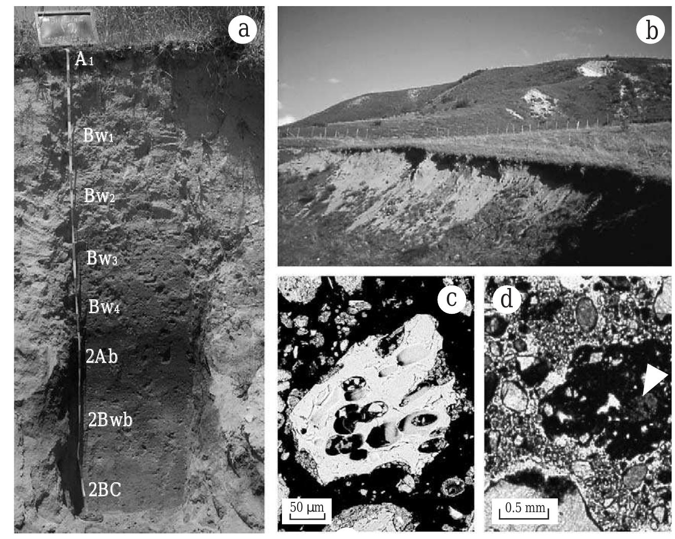 (a) soil profile p2. (b) the depositional glacis (where the