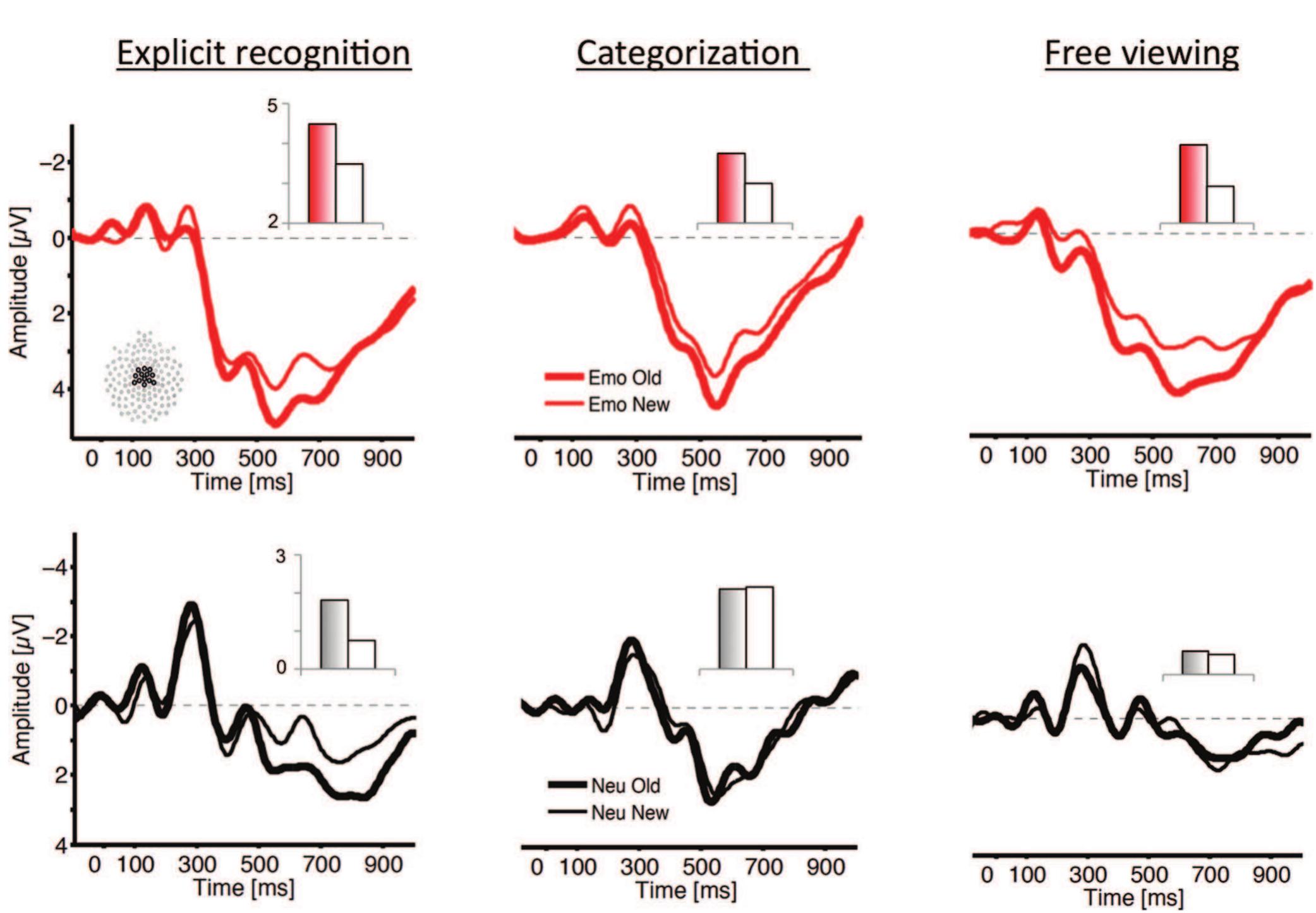 Grand Average Event Related Potential Erp Waveforms Over