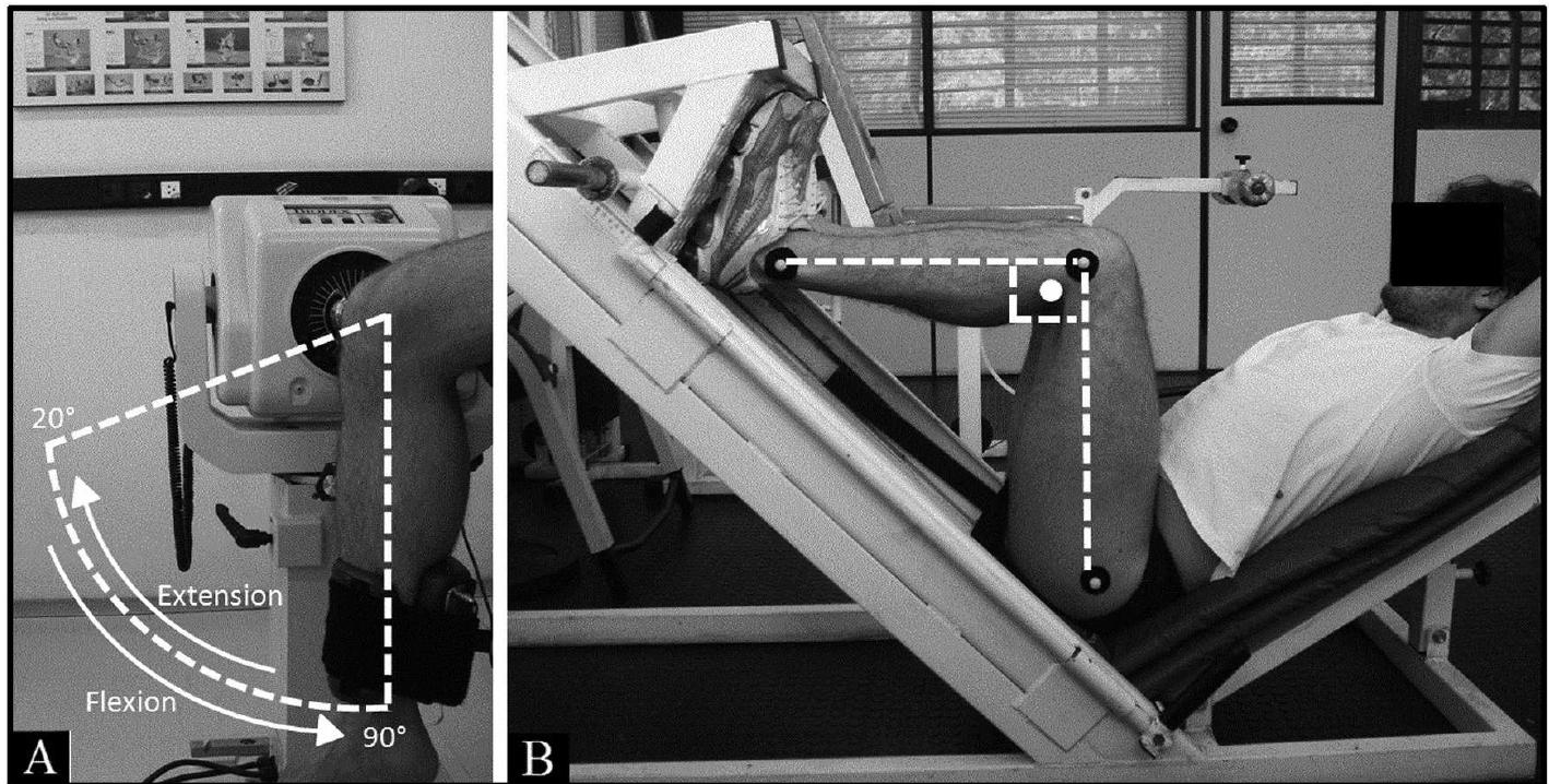 A) range of motion developed in the isokinetic dynamometer