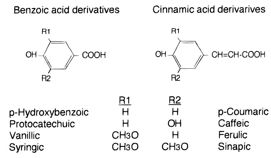 Chemical structures of phenolic acids, derivatives of