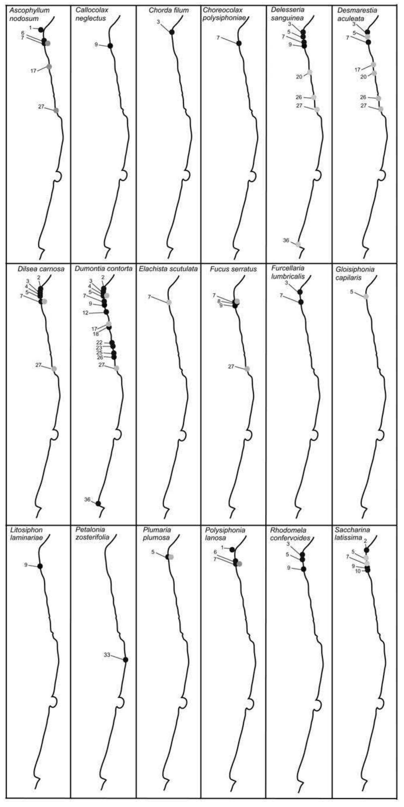 Figure 3 Checklist Of Benthic Marine Algae And