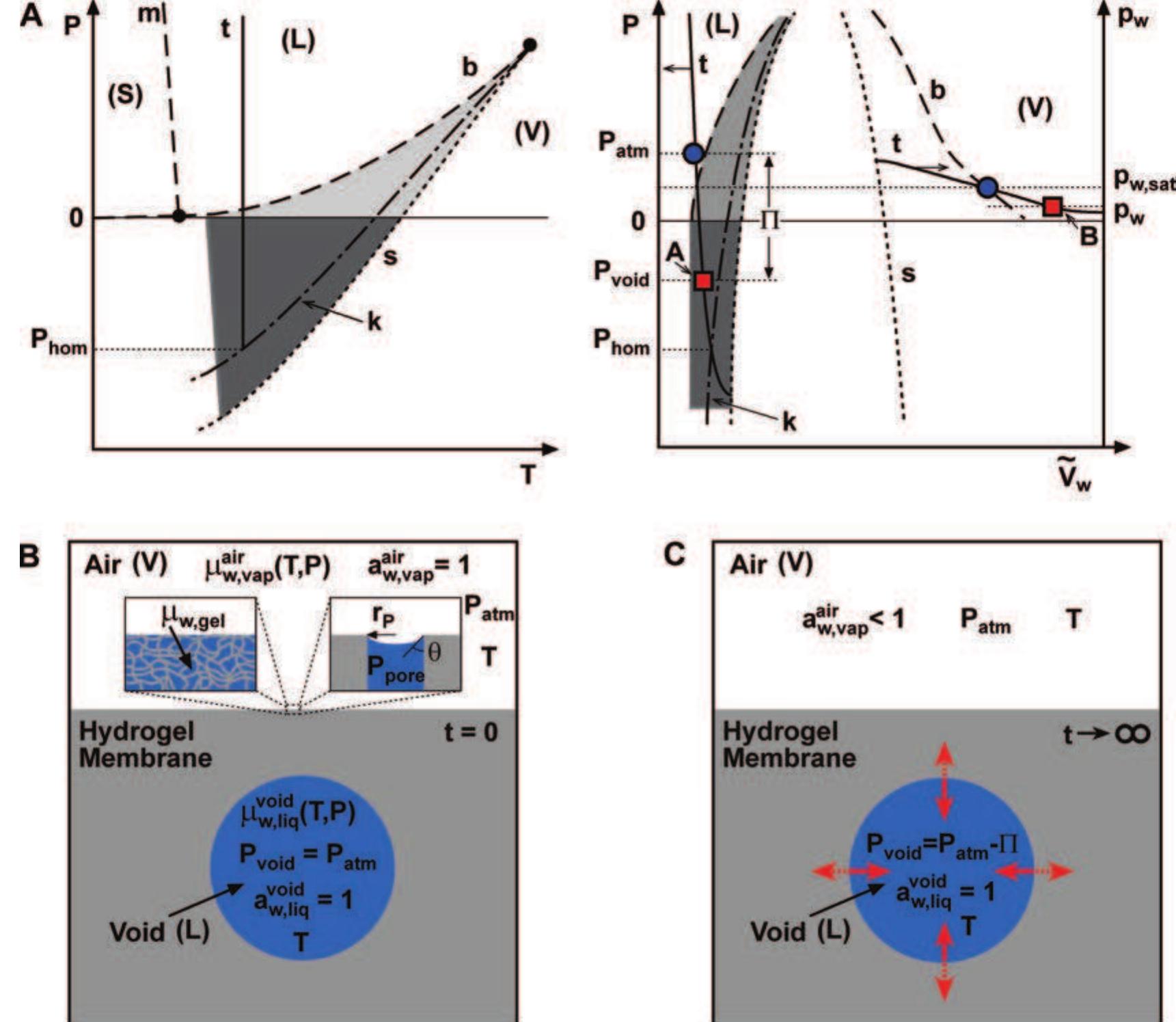 Schematic phase diagrams of water and illustration of the