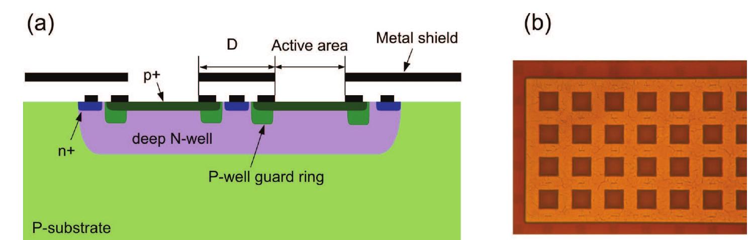 Schematic cross section (a) and micrograph (b) of the 4 line