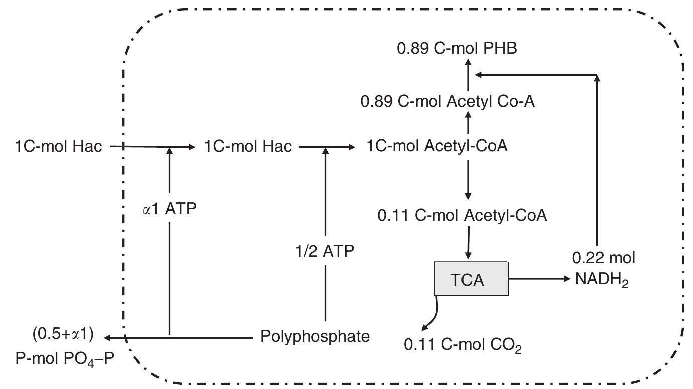 Schematic representation of the comeau—wentzel model for