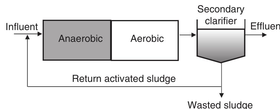 Schematic representation of the phoredox (a/o) process.