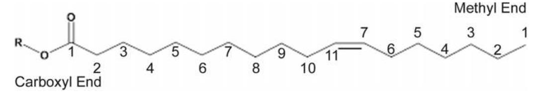 Nomenclature for vaccenic acid (va). fig. 2. rumen synthesis