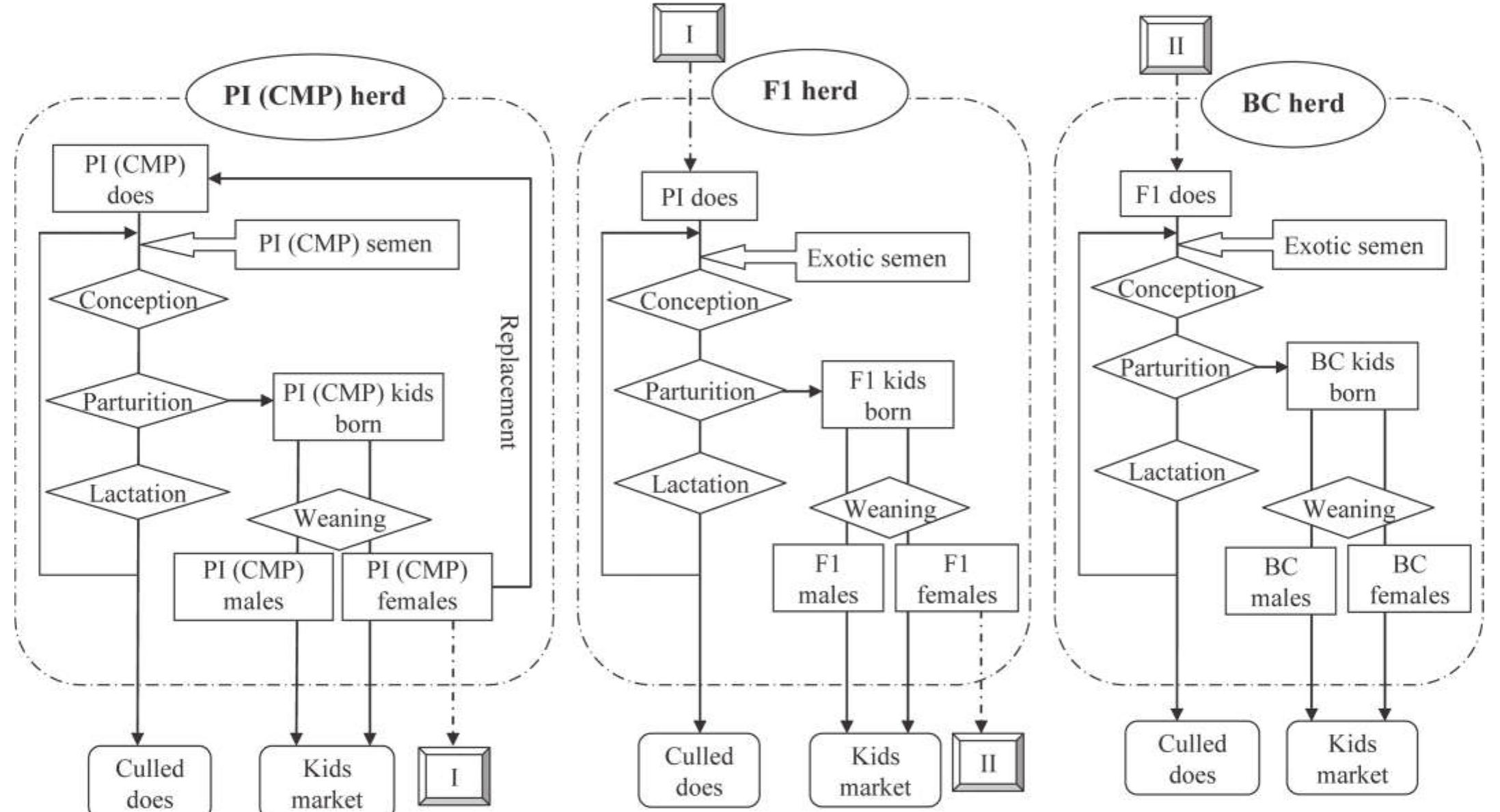 Diagrams of the crossbreeding schemes for pure indigenous
