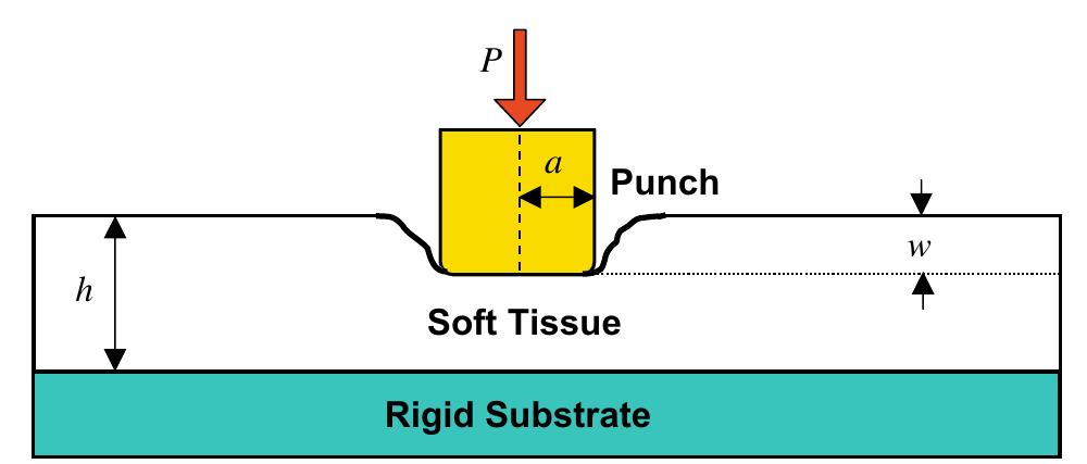 A1. schematic of typical flat-head cylindrical rigid-punch